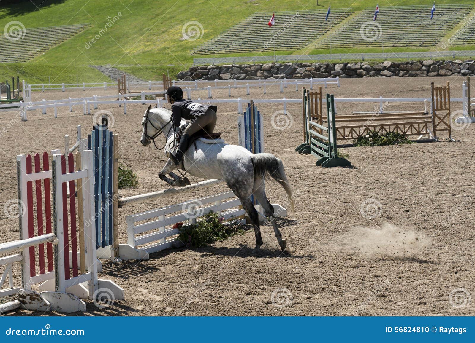 Zeigen Sie Springendes Pferd Und Mitfahrer Redaktionelles Bild - Bild ...
