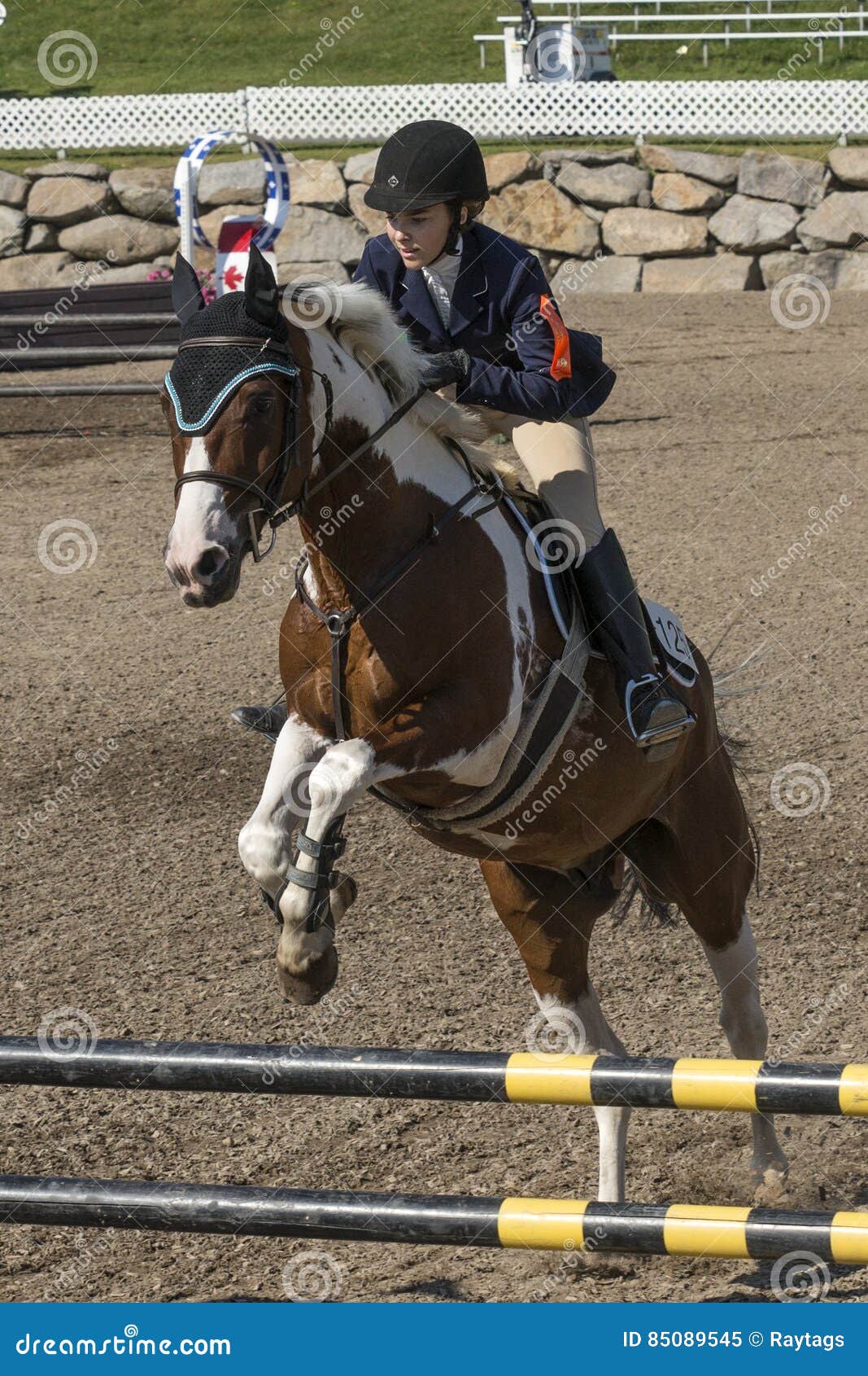 Zeigen Sie Springendes Pferd Und Mitfahrer Redaktionelles Bild - Bild ...