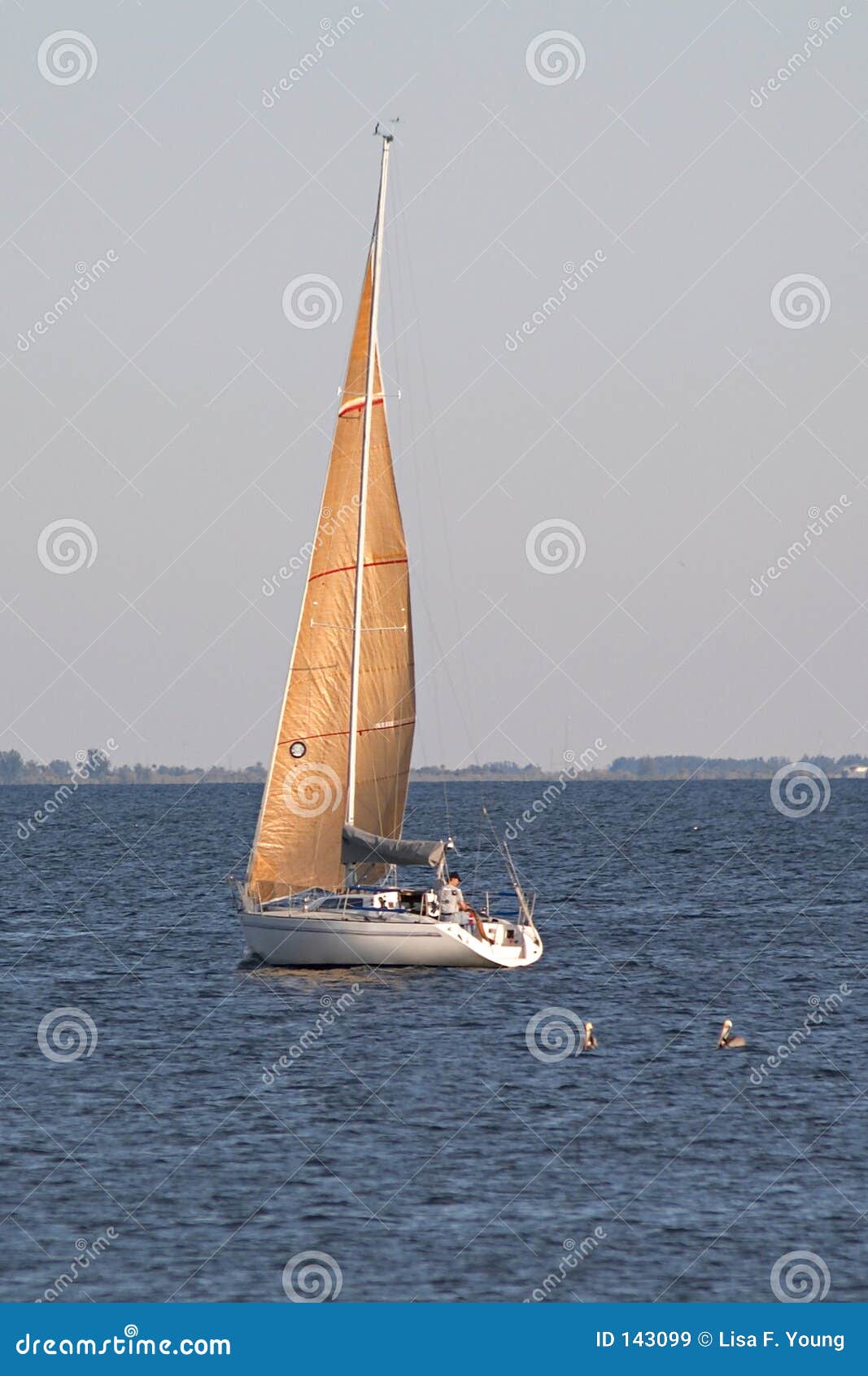 Zeilboot 2 stock afbeelding. Image of zeelieden, zeeman - 143099