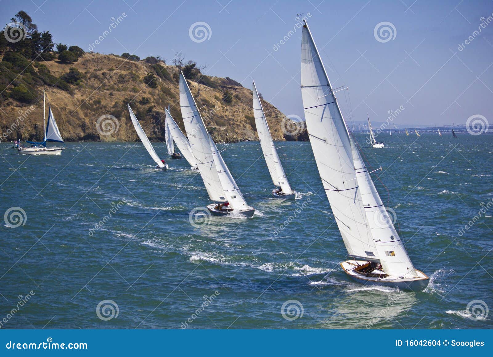 Zeilboten stock foto. Image of boot, golf, water, zeil - 16042604