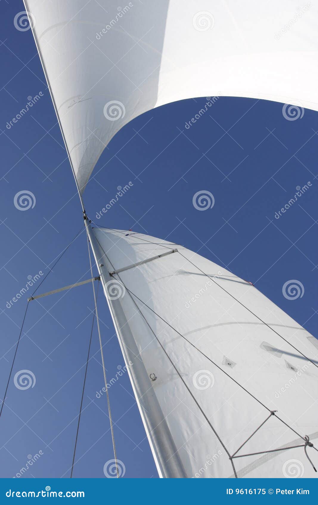 Zeilen die wind vangen stock afbeelding. Image of wind - 9616175