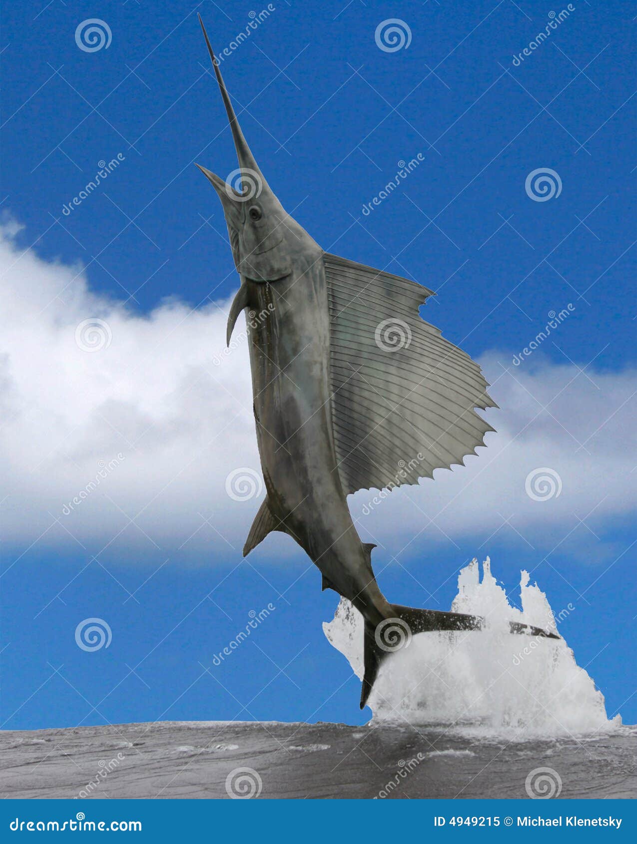 Zeilvis stock afbeelding. Image of oceaan, wolken, vechter - 4949215