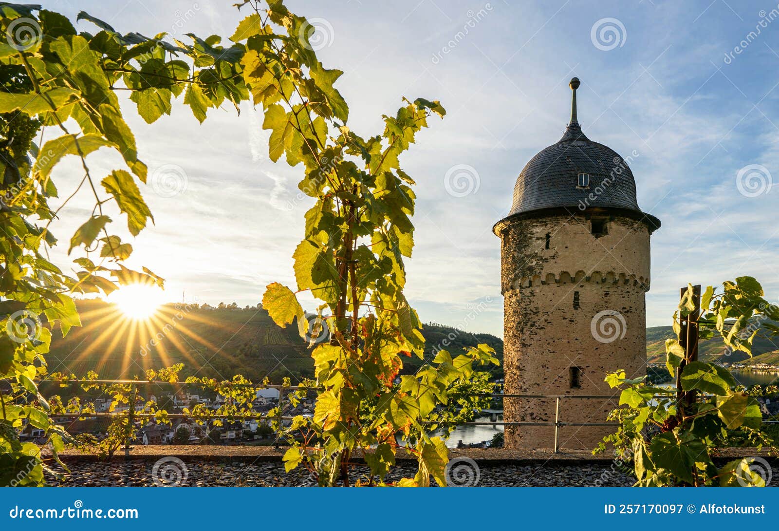 Zell with Moselle River, Germany Stock Image - Image of destination ...