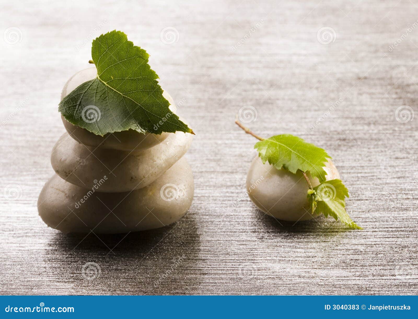 Zen imagen de archivo. Imagen de sano, verde, hojas, terapia - 3040383