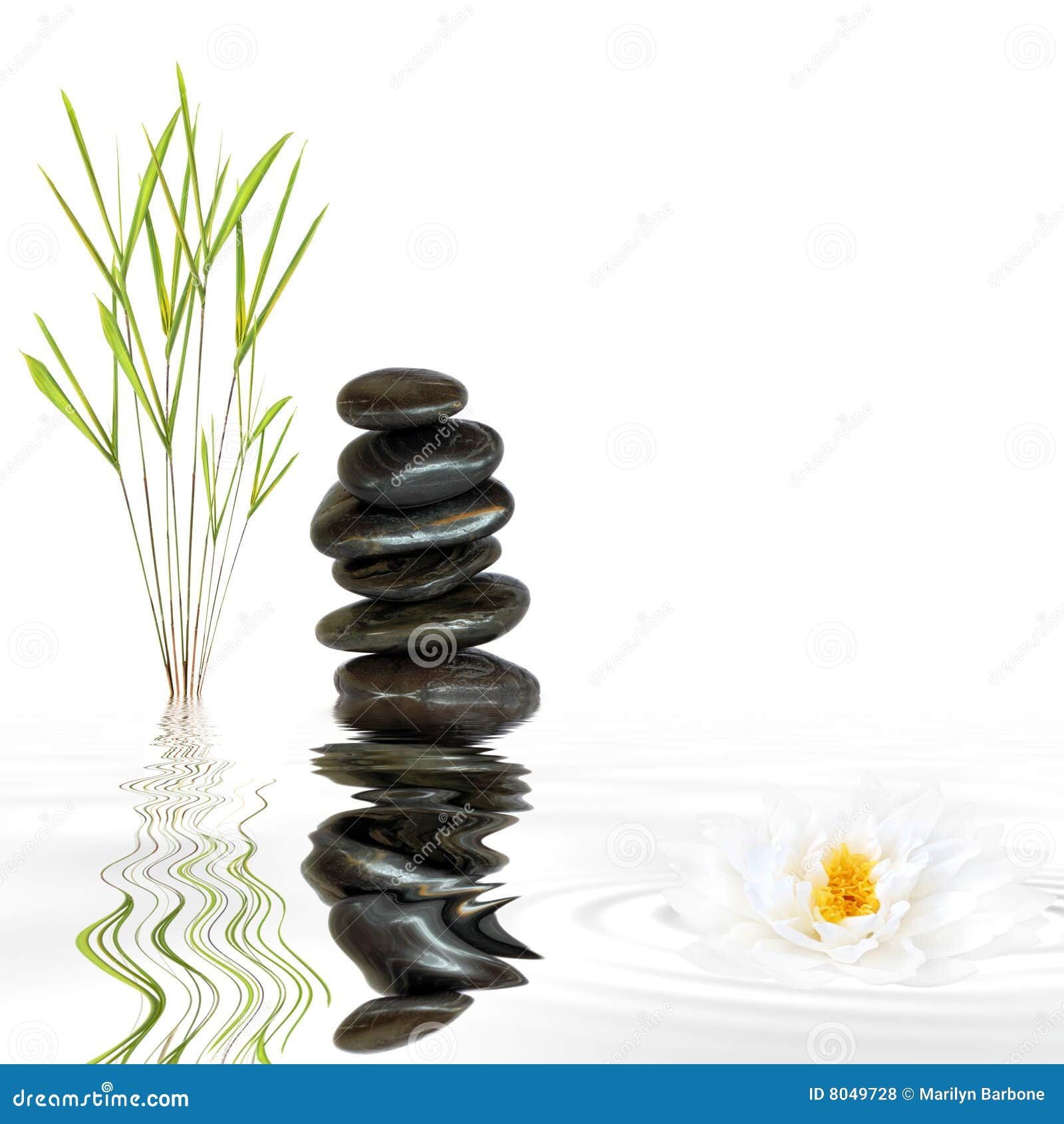 Zen Abstract stock photo. Image of feng, design, grasses - 8049728