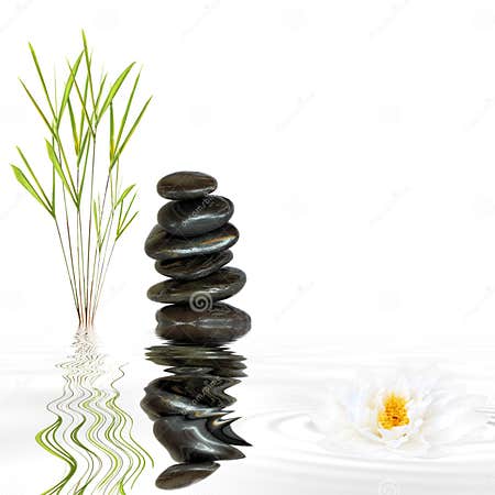Zen Abstract stock photo. Image of feng, design, grasses - 8049728
