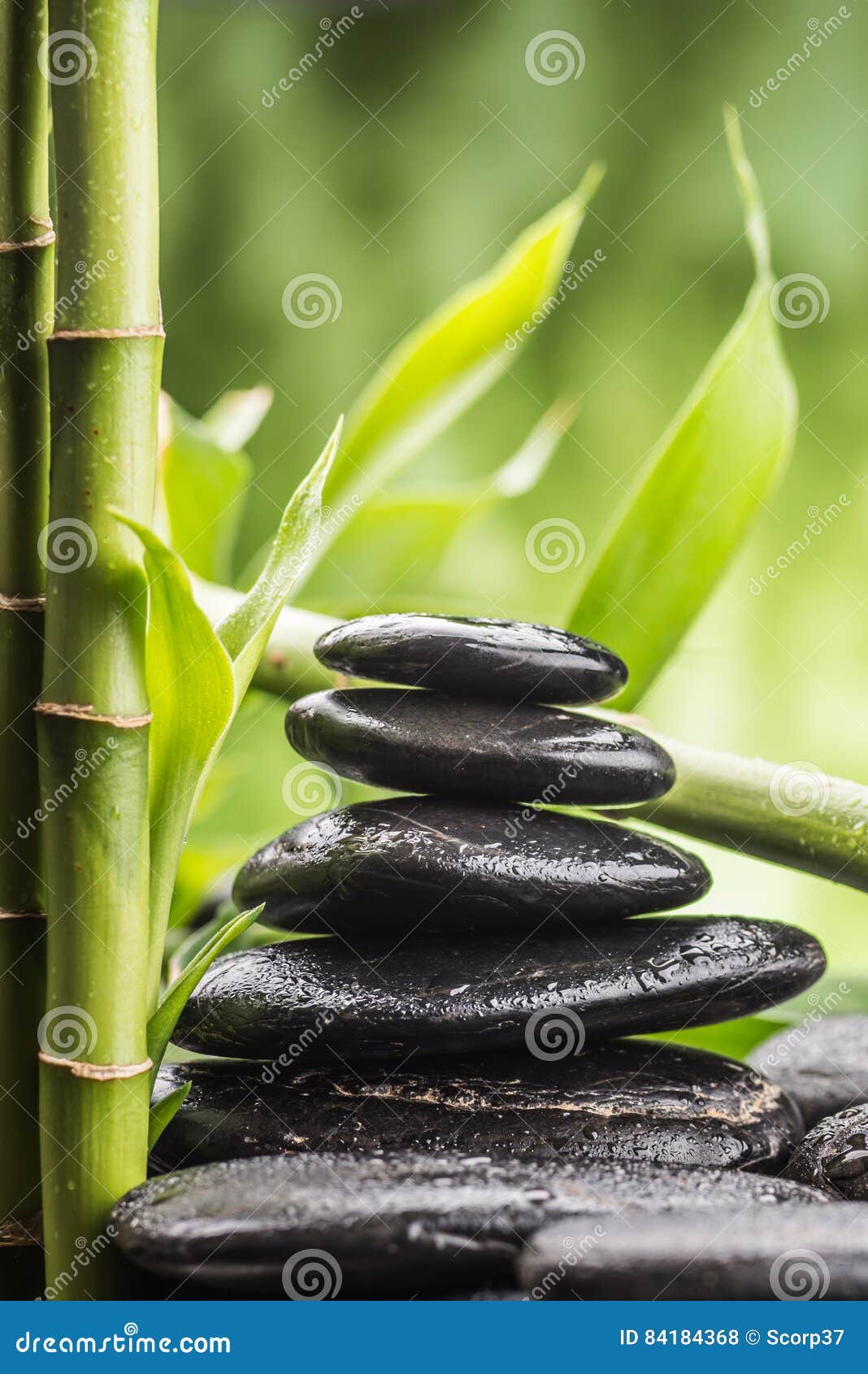 Zen Basalt Stones and Bamboo Stock Photo - Image of garden, asian: 84184368