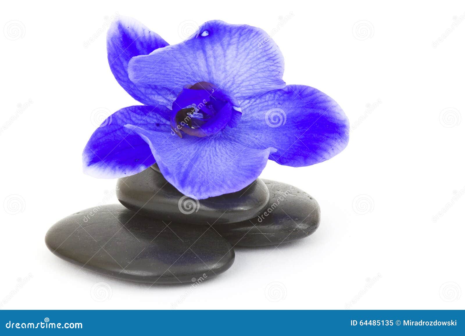 Zen Basalt Stones and Orchid Stock Image - Image of care, isolated ...