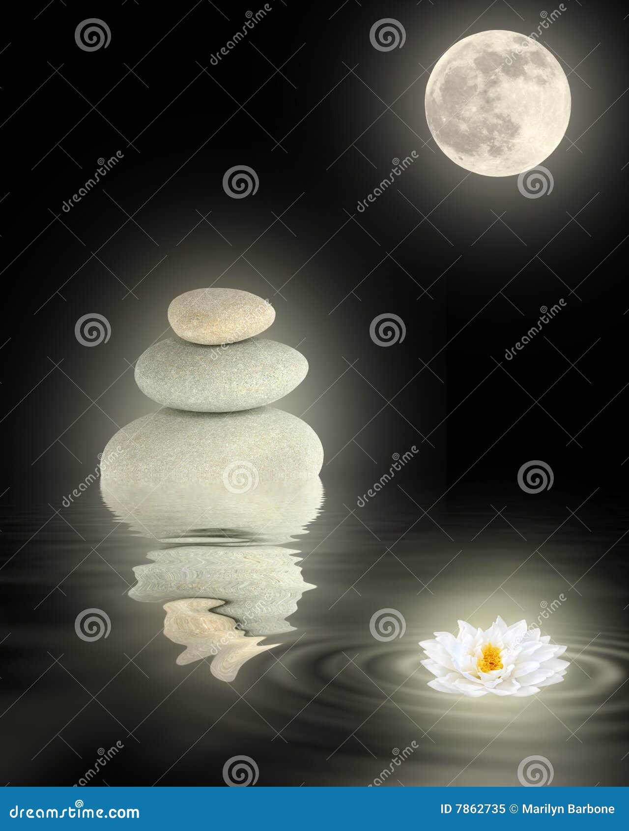 Zen Beauty stock image. Image of black, flora, grey, meditation - 7862735