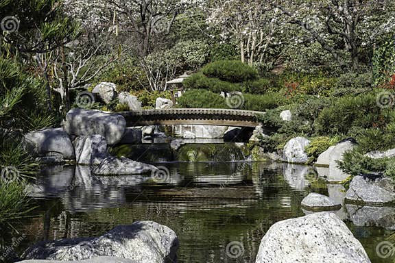 Zen Bridge stock image. Image of nature, petals, harmony - 320984591