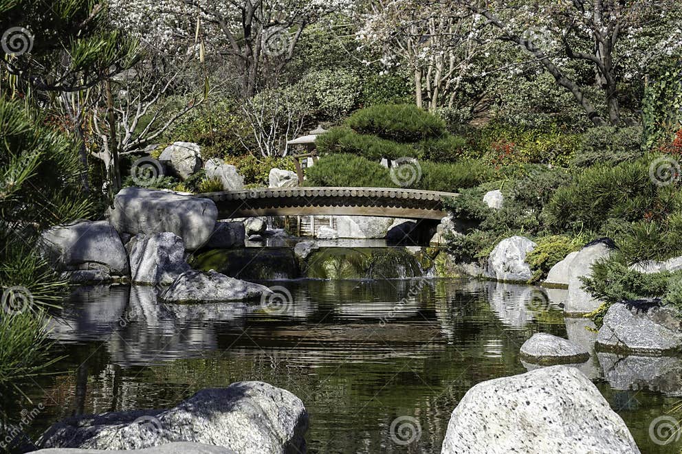 Zen Bridge stock image. Image of nature, petals, harmony - 320984591