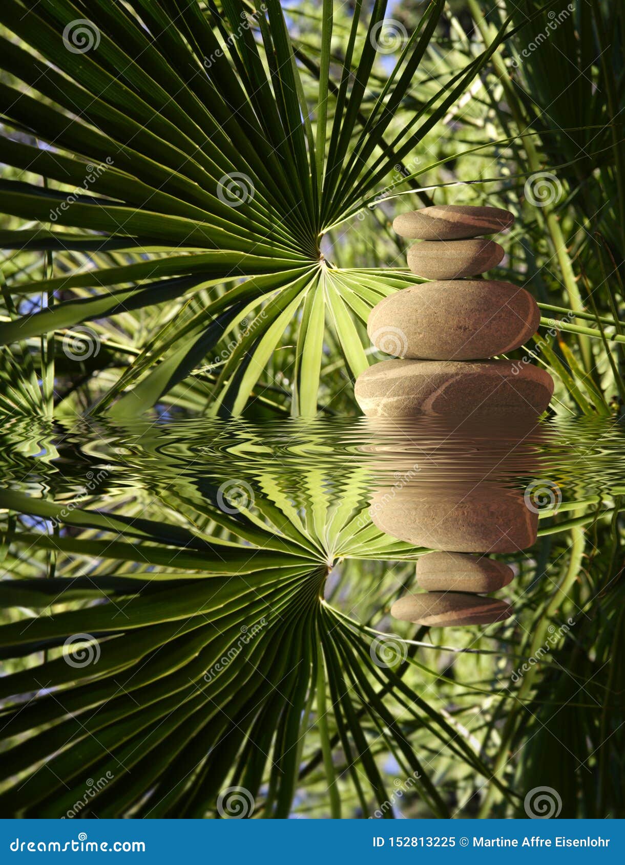 Zen Composition with Balancing Pebbles and Palm Tree Leaves Stock Image ...