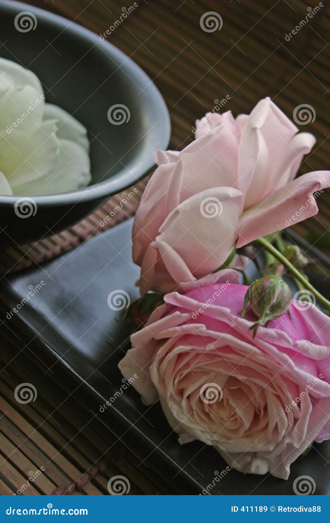 Zen Food for the Soul stock image. Image of food, ceremony - 411189