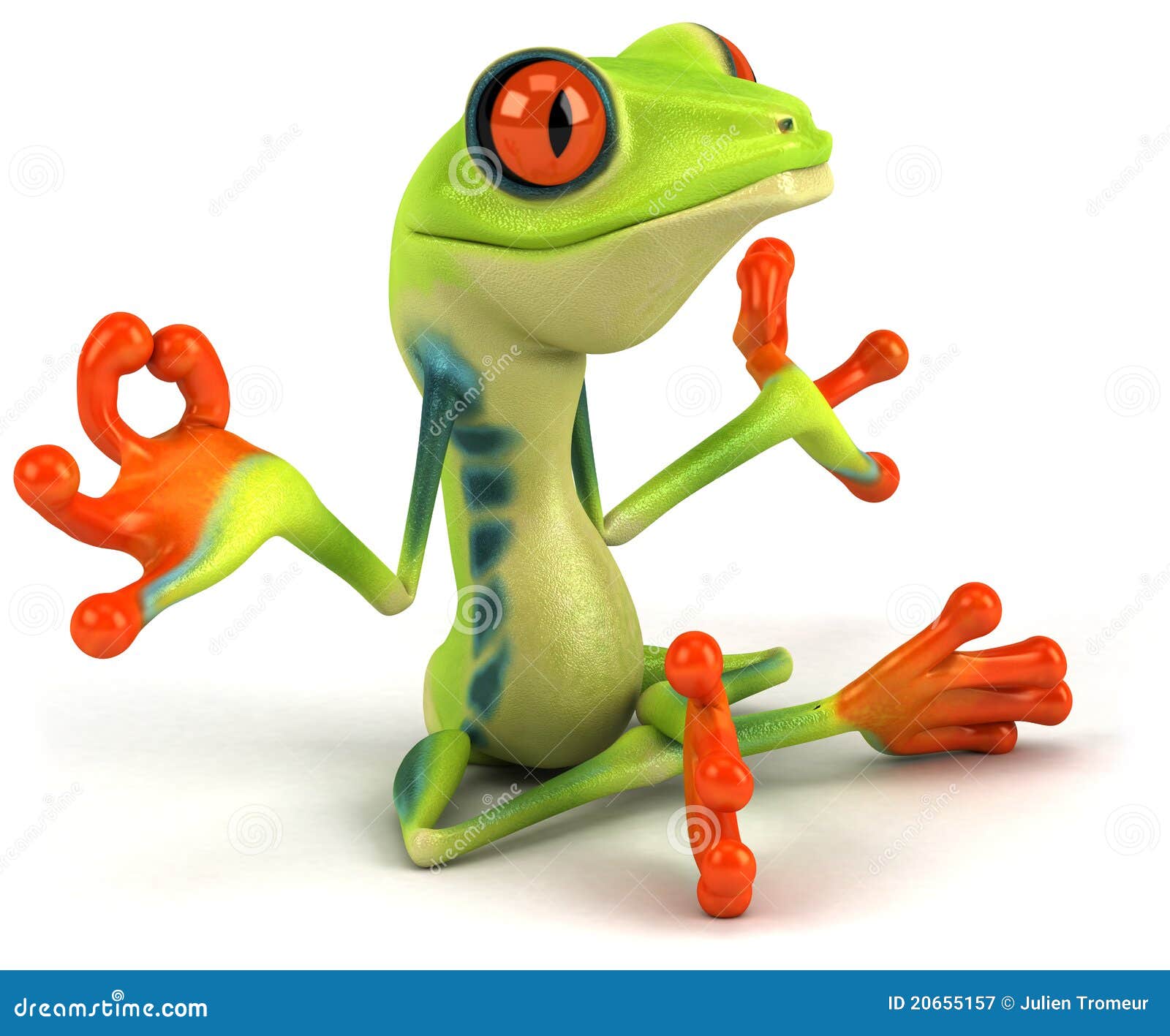 Zen Frog stock illustration. Illustration of frog, animal - 20655157