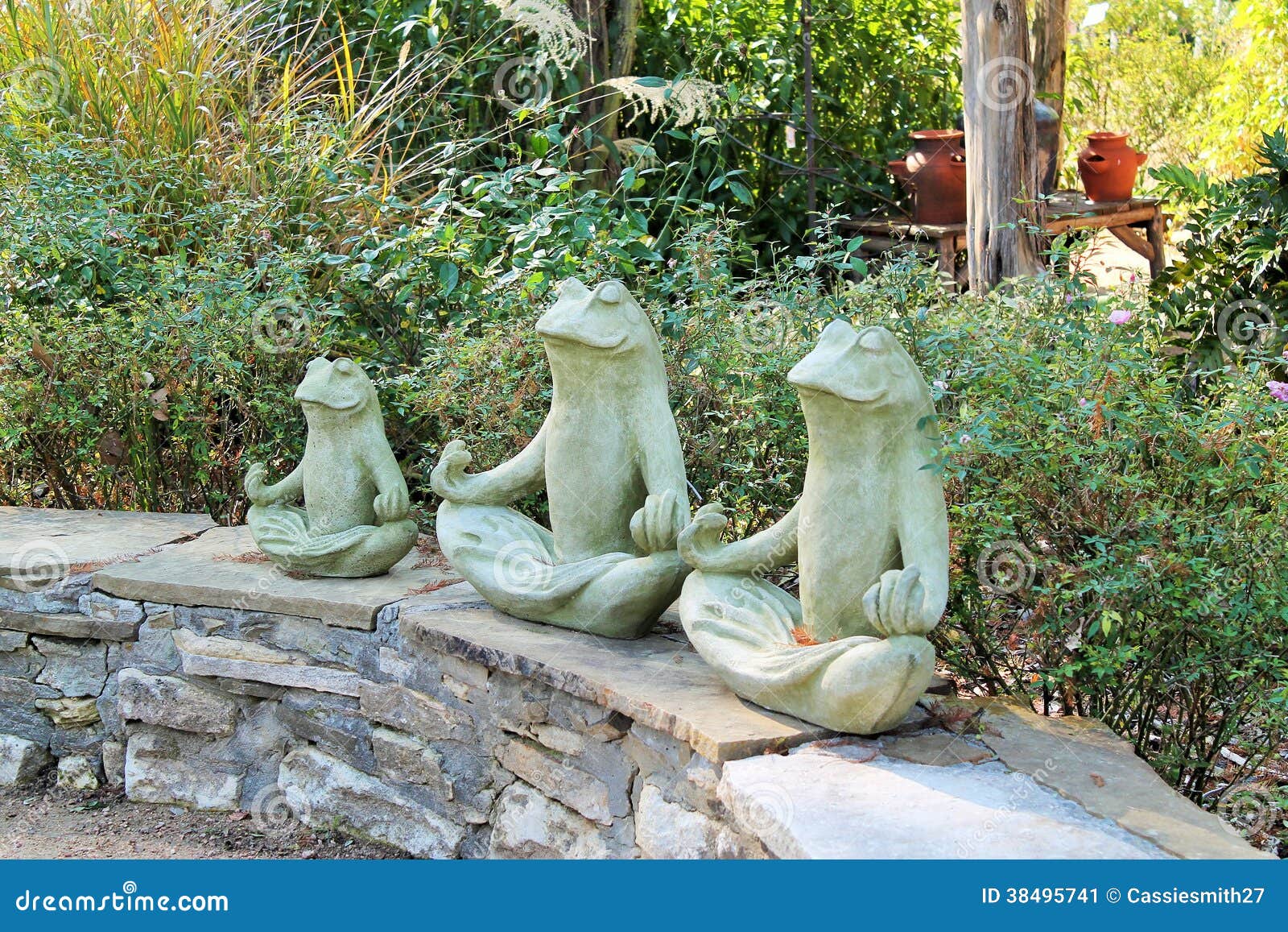 Zen Frogs imagen de archivo. Imagen de yoga, exterior - 38495741