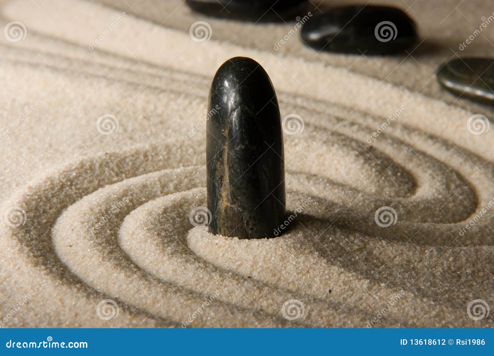 Zen Garden stock photo. Image of abstract, macro, garden - 13618612