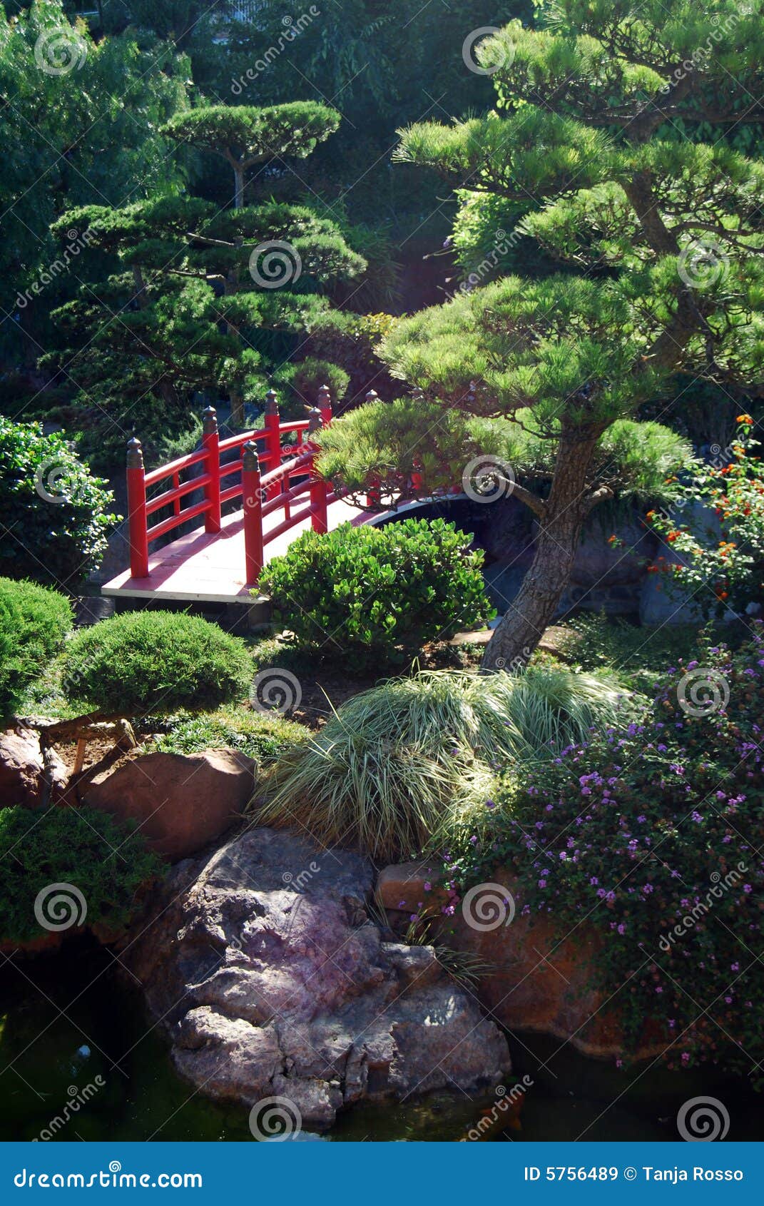 Zen garden stock image. Image of green, enlightenment - 5756489