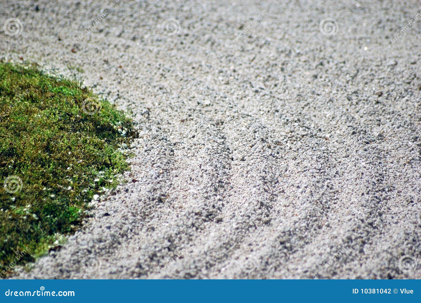 Zen garden abstract stock photo. Image of calm, grass - 10381042