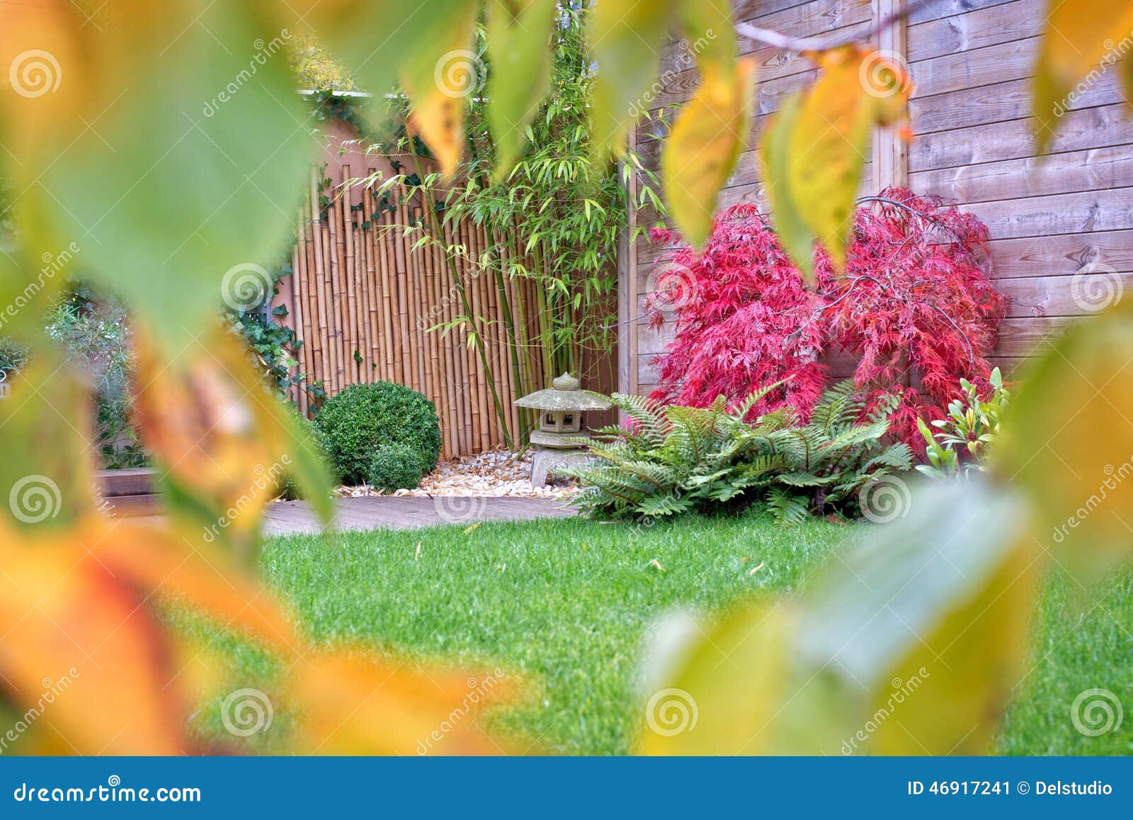 Zen garden in autumn stock image. Image of vegetation - 46917241