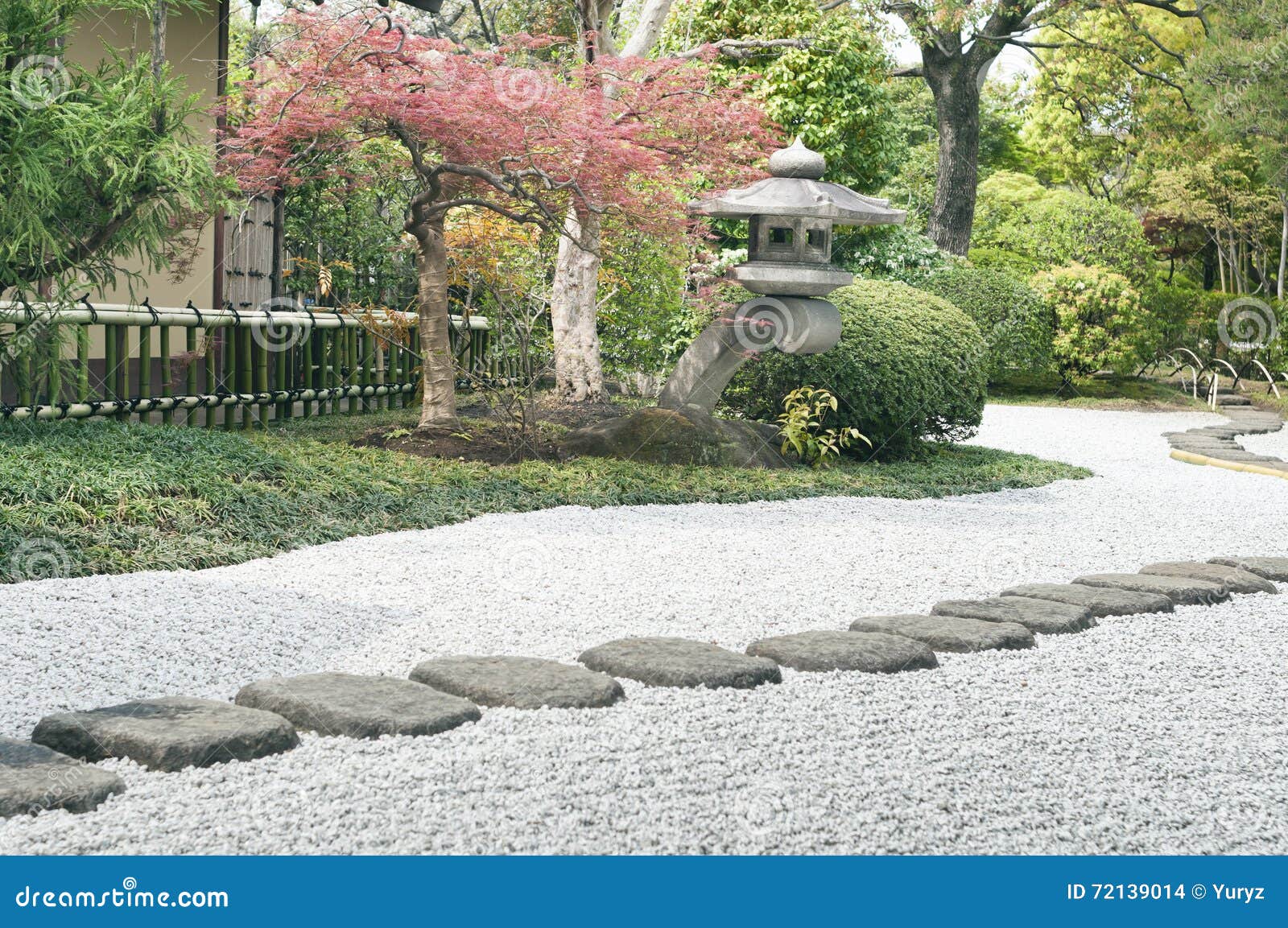 Zen garden pathway stock photo. Image of tree, tradition - 72139014