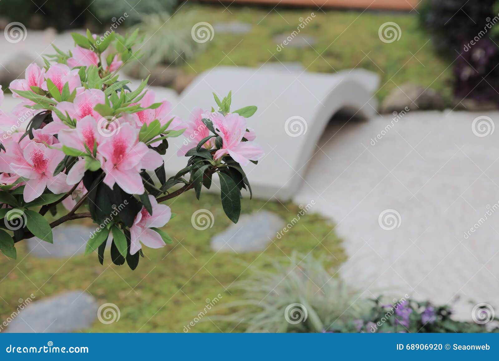 Zen garden in spring stock photo. Image of vegetation - 68906920