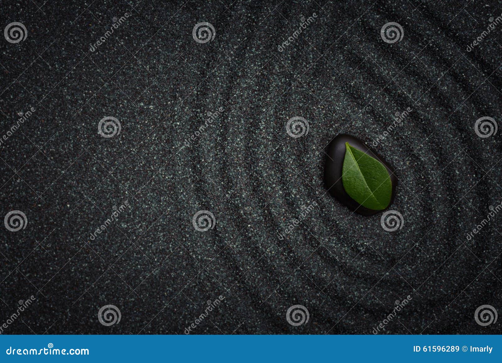 Zen Garden with Wave Lines in the Black Sand with a Green Leaf Stock ...