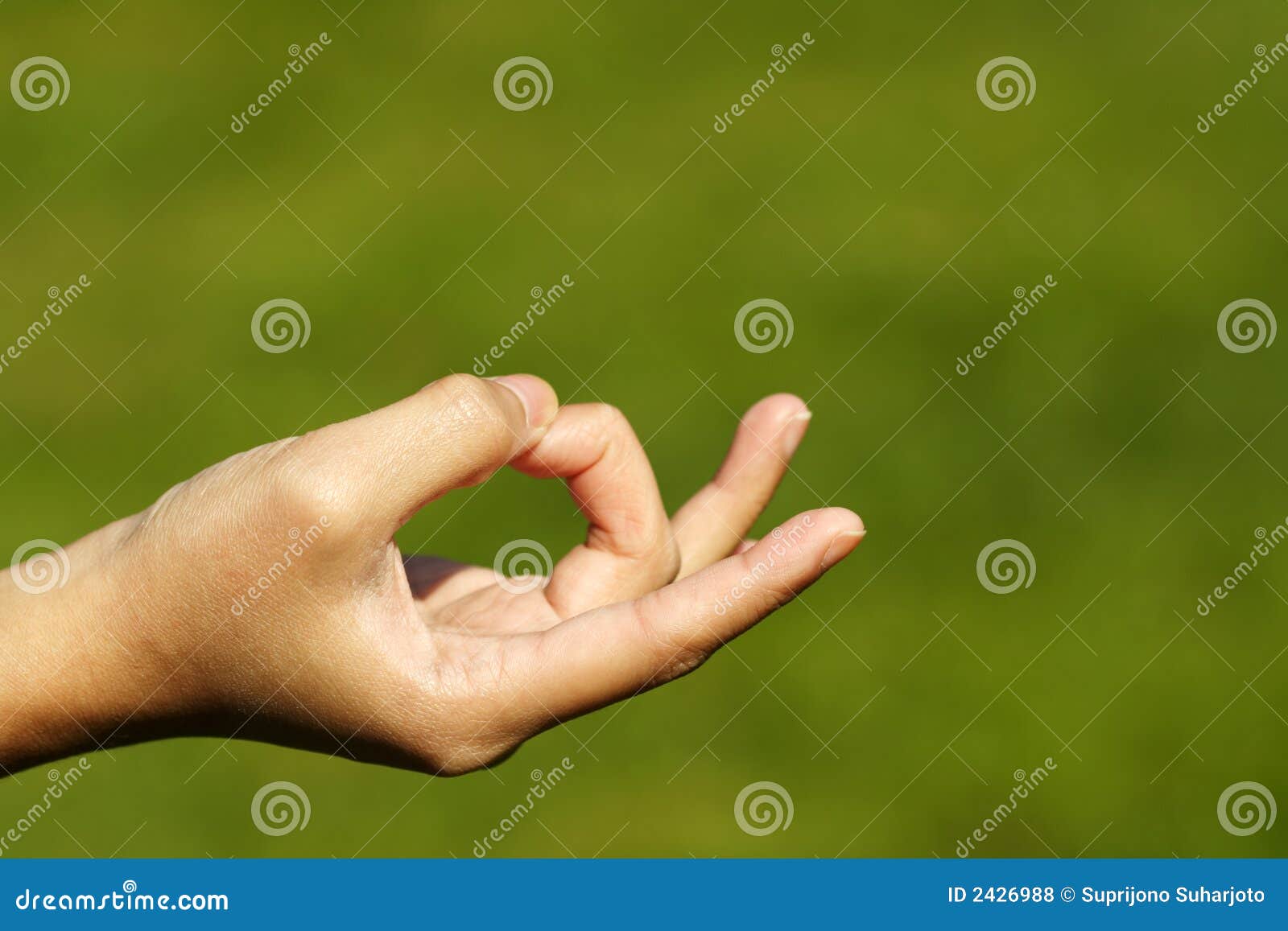 Zen hand stock photo. Image of exercise, health, fingers - 2426988