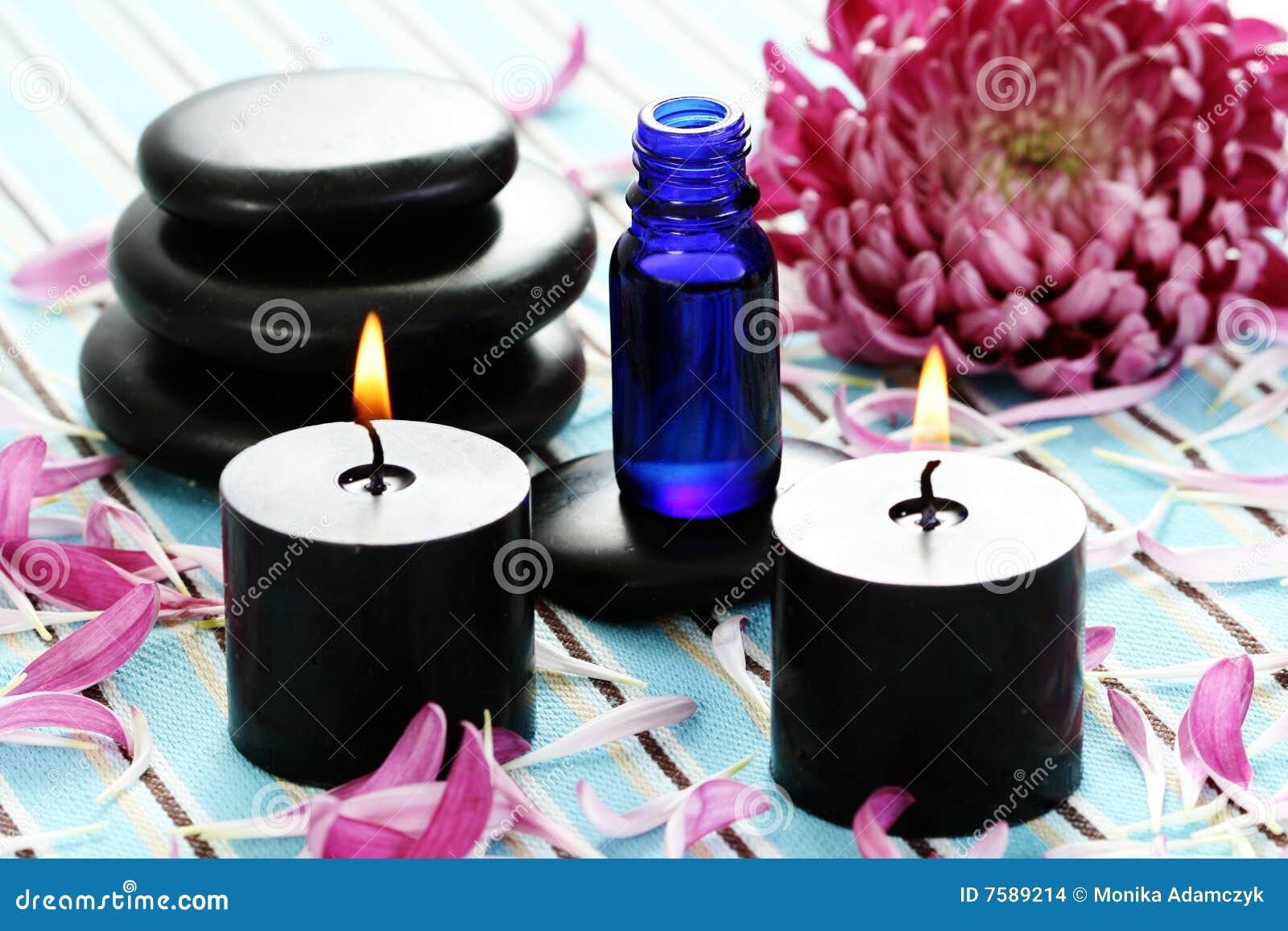 Zen like stock photo. Image of petal, pebble, meditation - 7589214