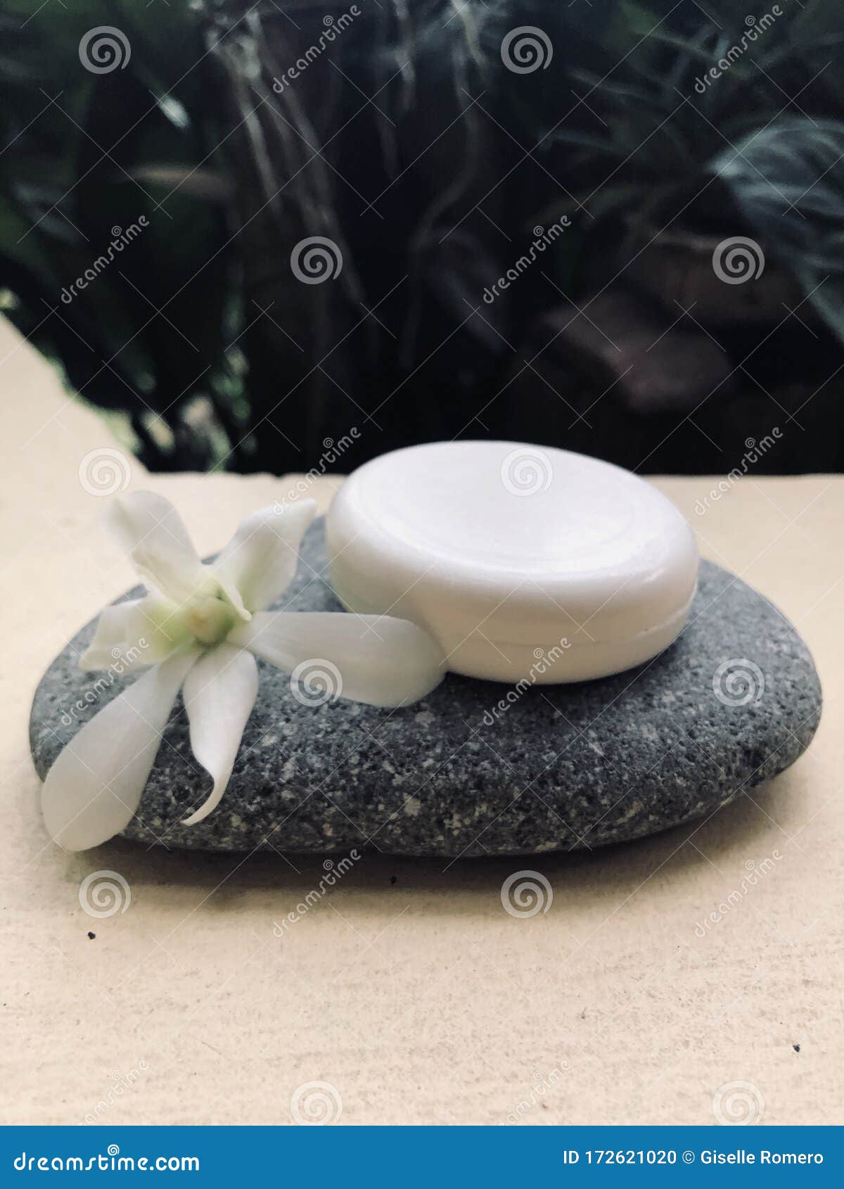 Zen like stock photo. Image of copyspace, relaxation - 172621020
