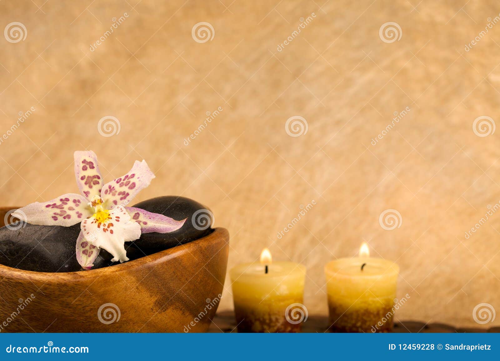 Zen-like scene stock photo. Image of focus, health, natural - 12459228