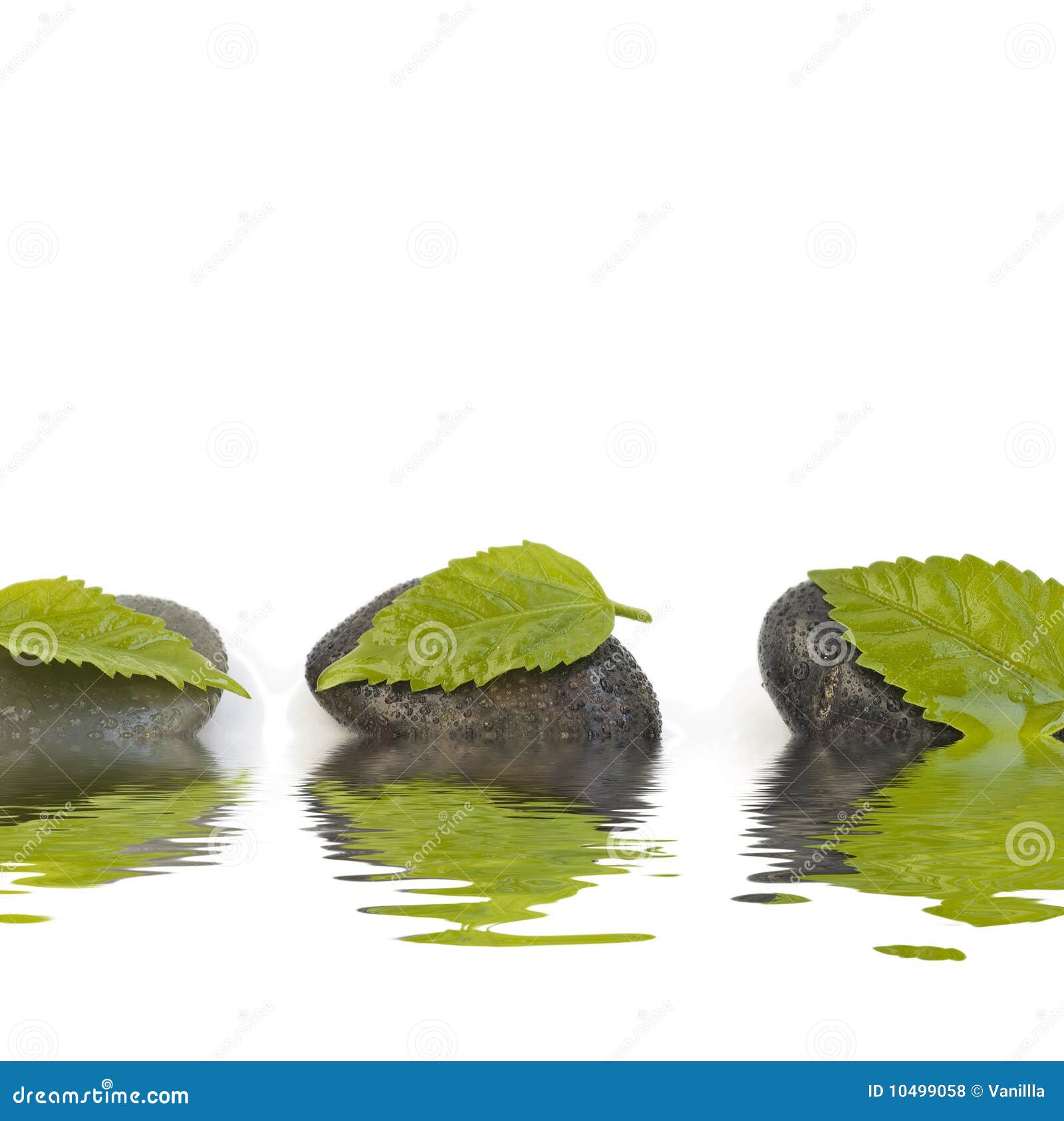 Zen like spa stock photo. Image of luxury, drop, calmness - 10499058