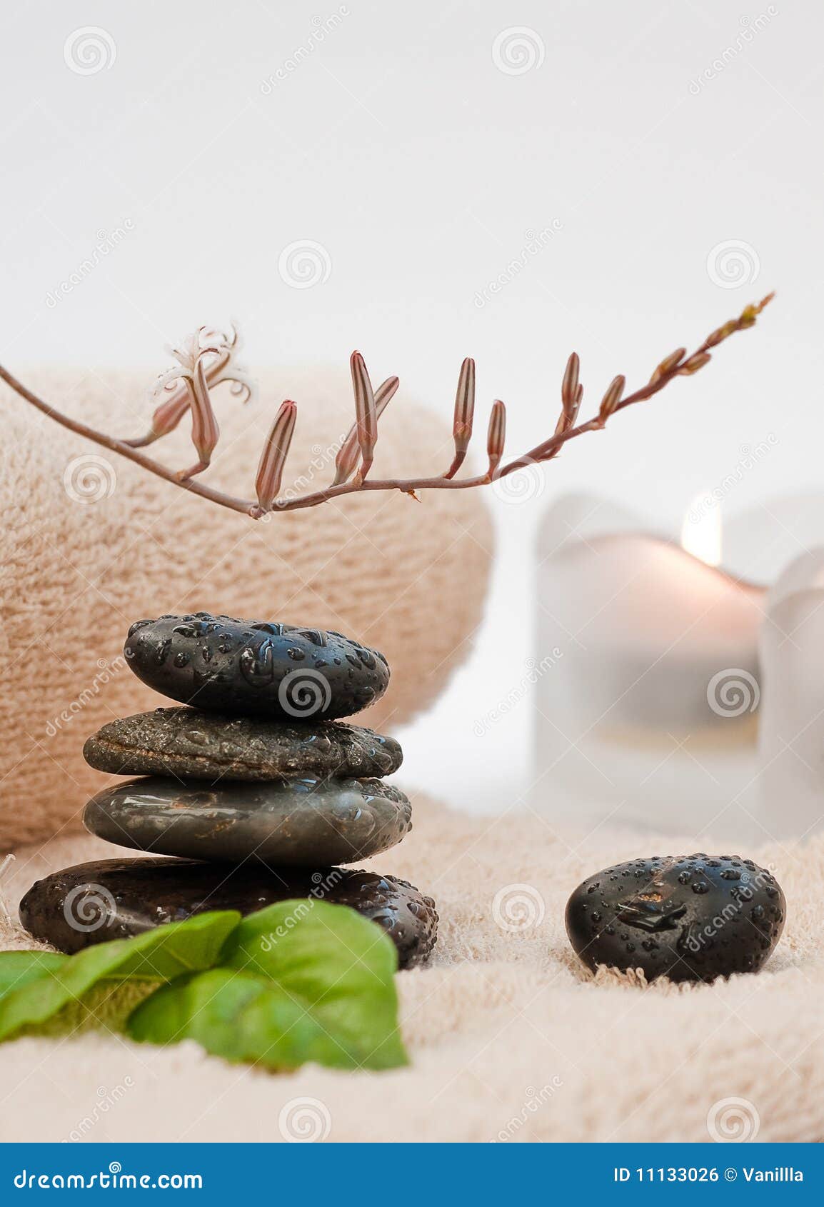 Zen-like SPA stock photo. Image of medicine, order, calmness - 11133026