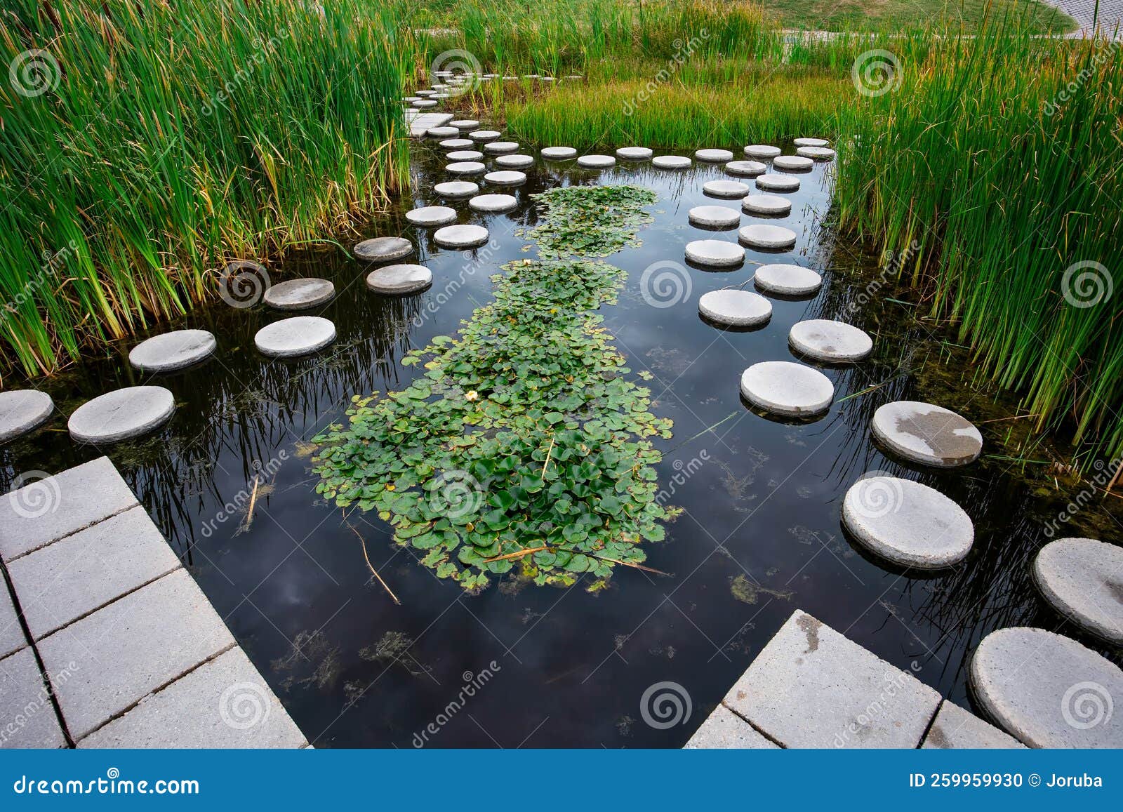 Zen Like Stone Path in Water Stock Photo - Image of foliage, peaceful ...