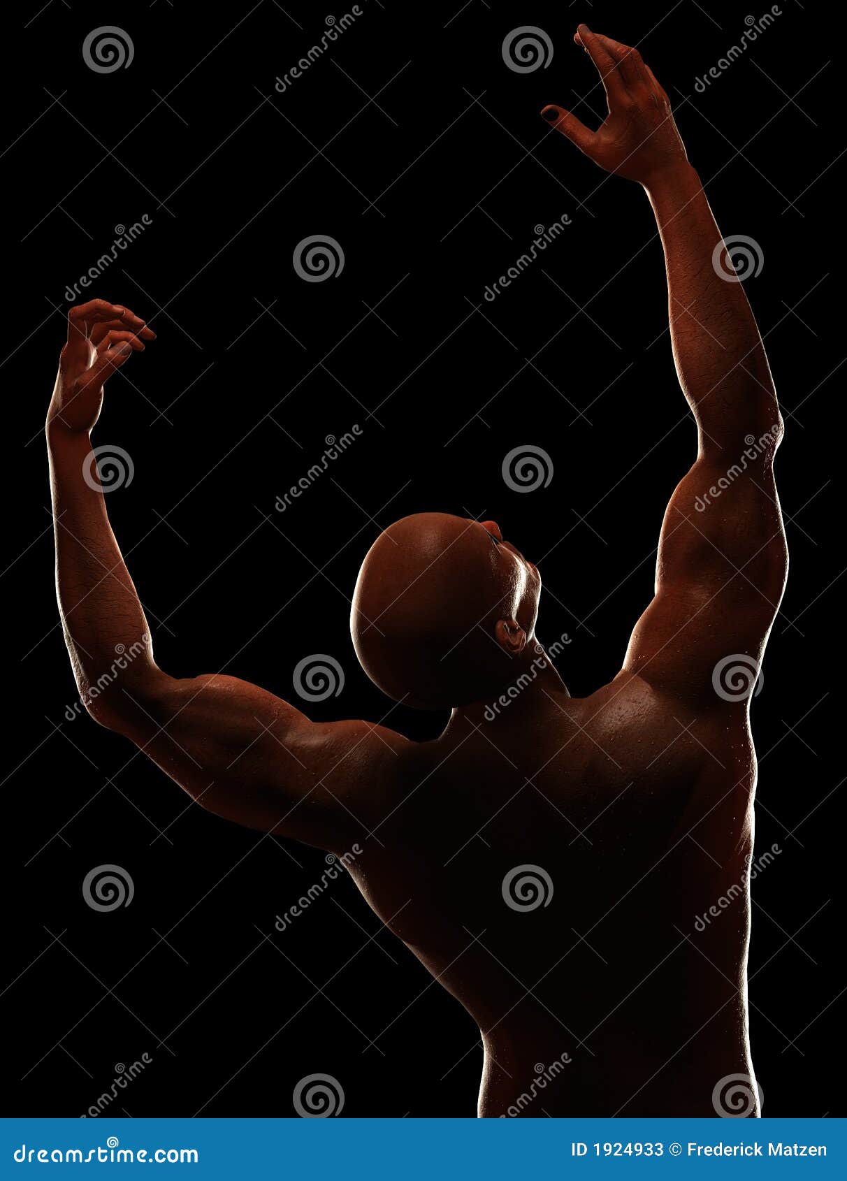 Male Forearm Bones Anatomy Cartoon Vector | CartoonDealer.com #106593037