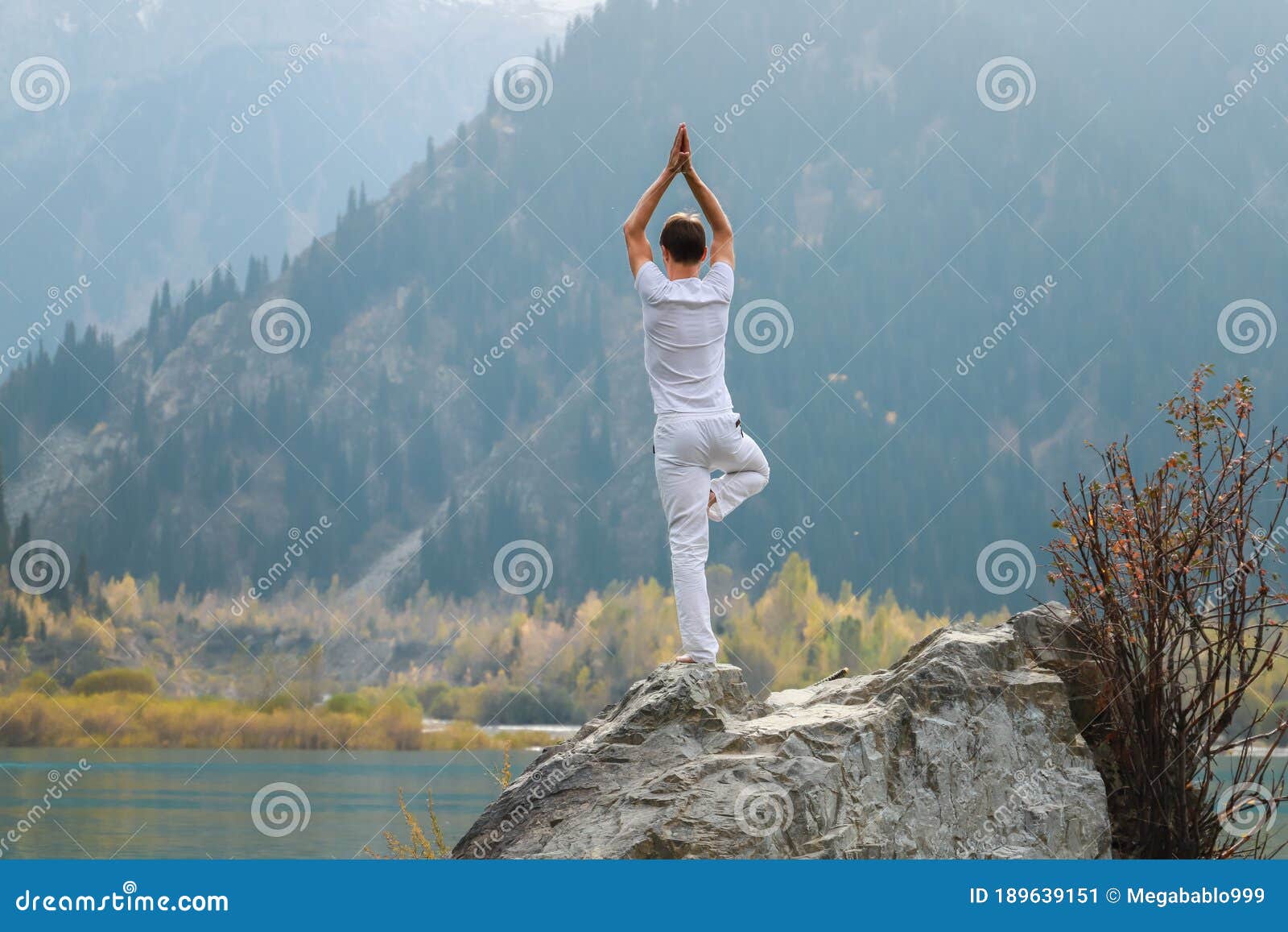 A Zen Man in White Practices Yoga in Nature. Pose Vrikshasana or Tree ...