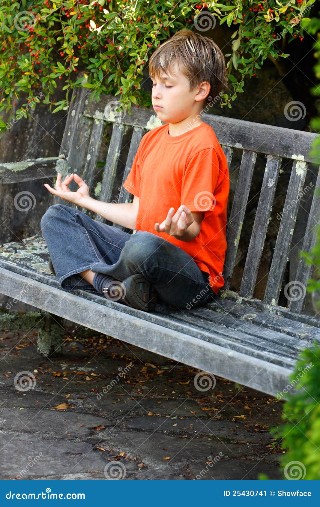 Zen Meditation stock image. Image of bench, prayer, fresh - 25430741