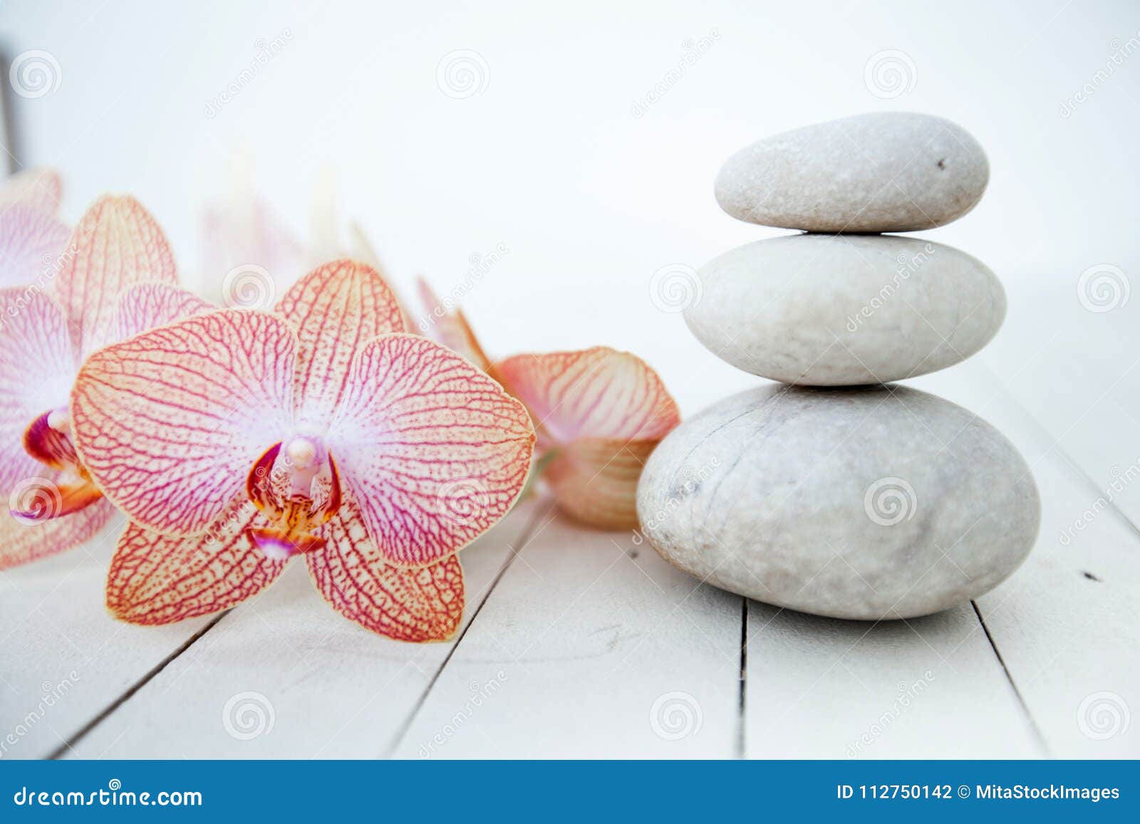 Zen Meditation Spa Lifestyle Photo stock - Image du incantation ...