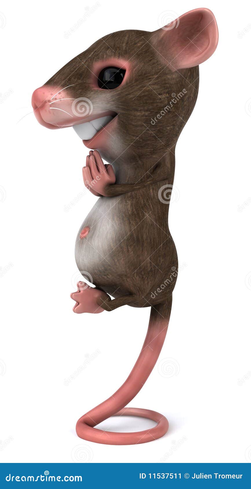 Zen mouse stock illustration. Illustration of hairy, isolated - 11537511