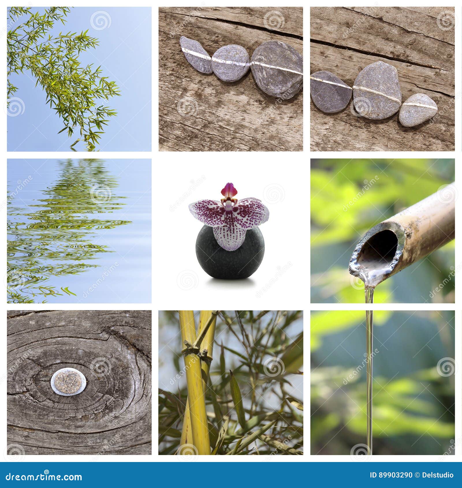 Zen nature square collage stock photo. Image of nature - 89903290