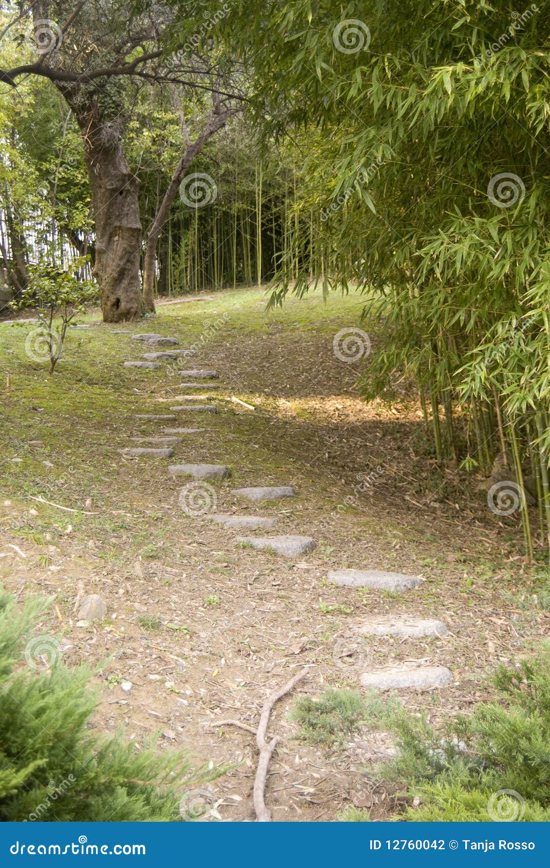 Zen path stock photo. Image of china, buddhism, japan - 12760042