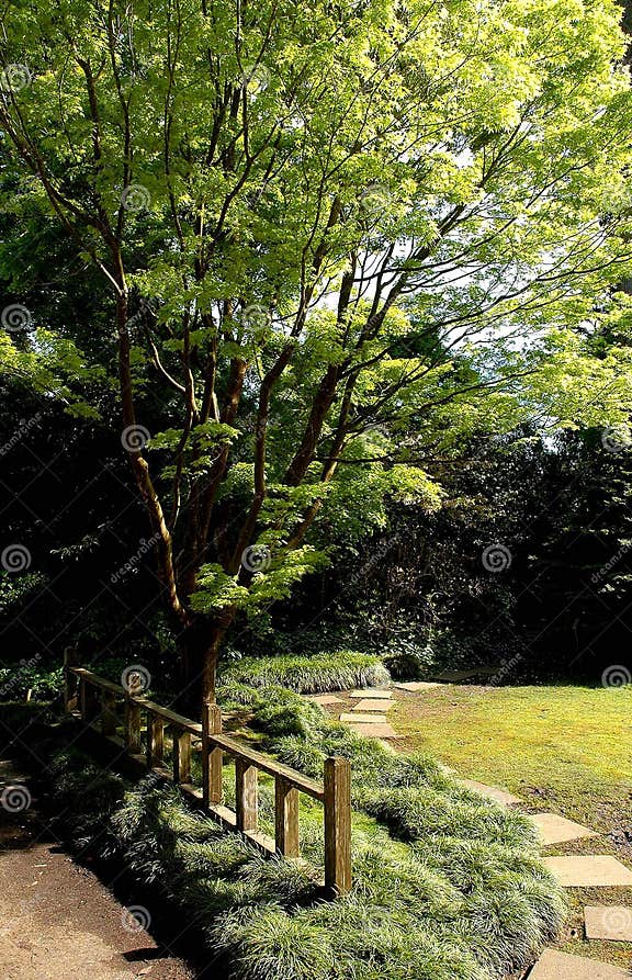 A Zen path stock image. Image of cement, earth, clear, green - 485771