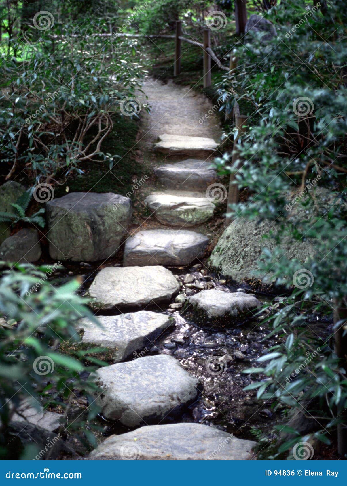 Zen Path stock photo. Image of stream, creek, water, concept - 94836