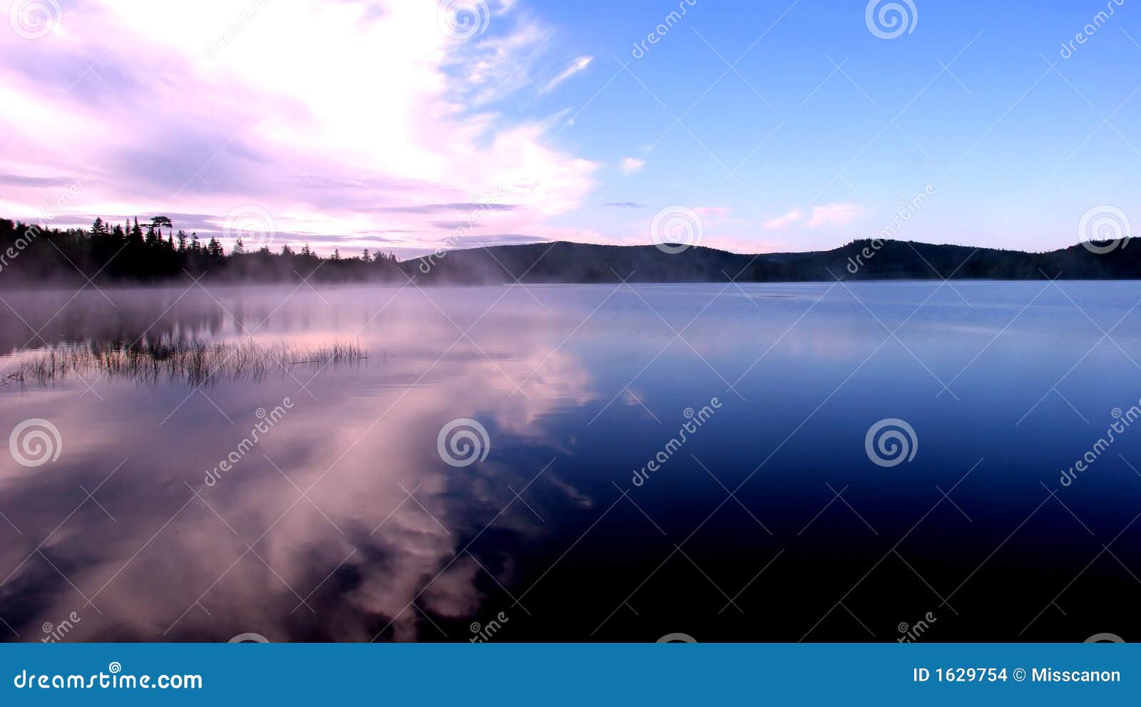 Quiet place stock photo. Image of loneliness, calm, park - 1629754