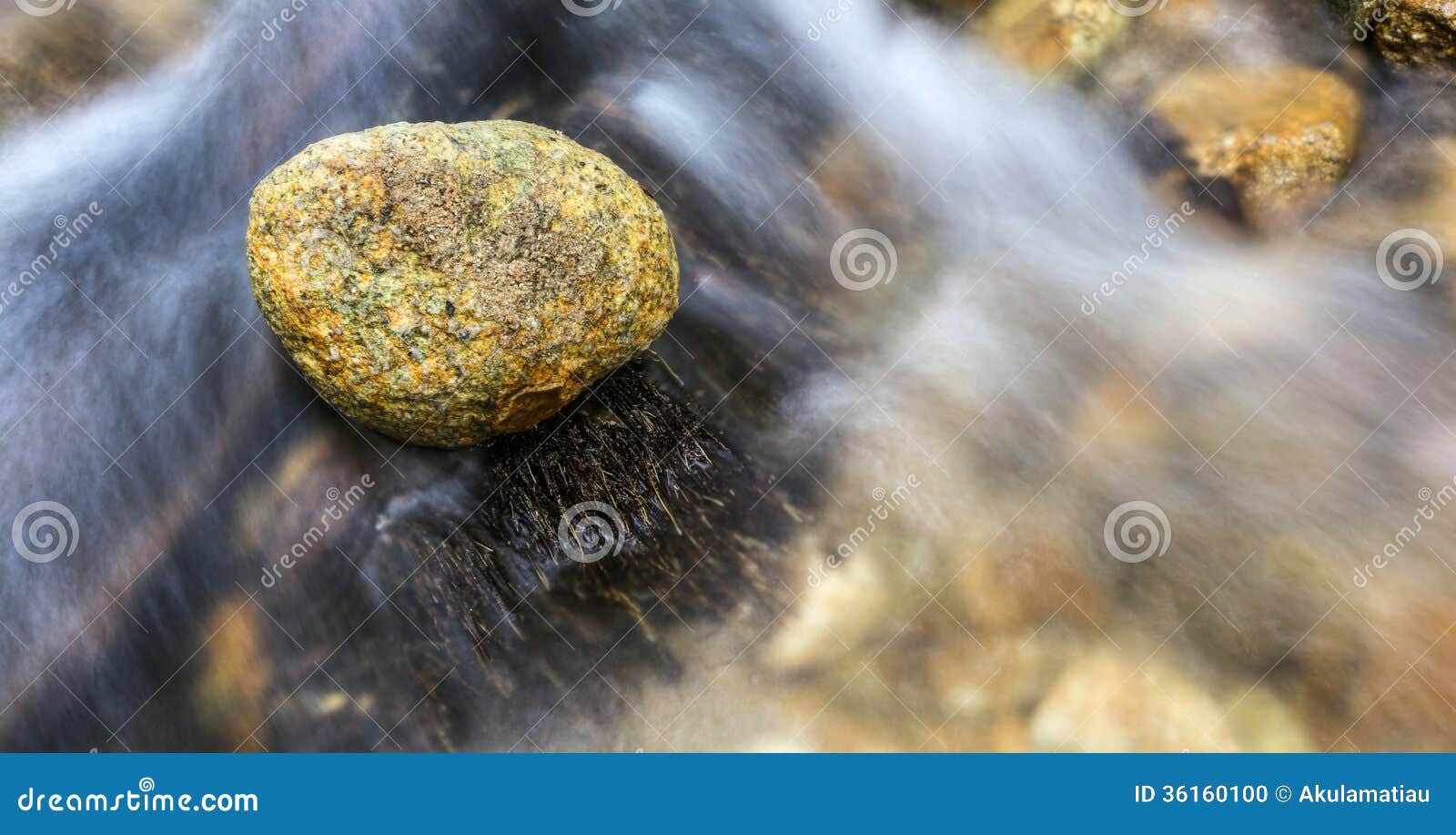 Zen River Stone I stock photo. Image of leaves, flow - 36160100