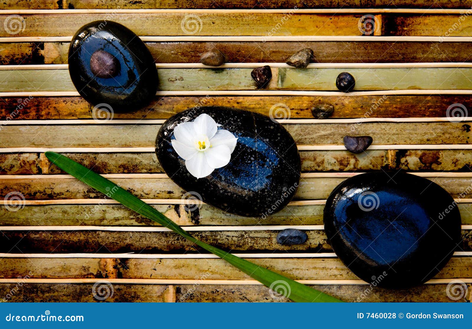 Zen rocks with flower stock photo. Image of flower, abstract - 7460028