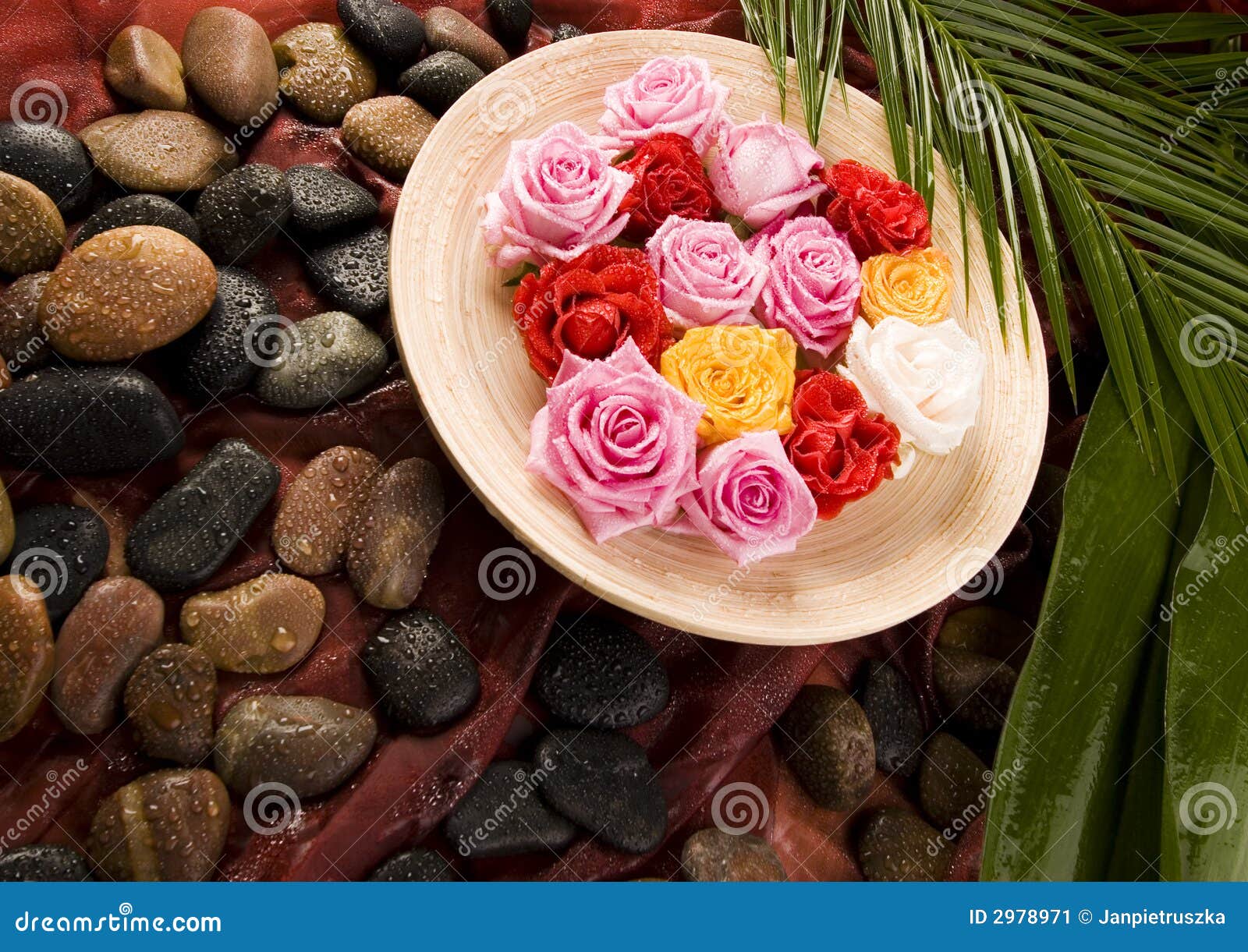 Zen rose stock image. Image of emotions, aromatherapy - 2978971