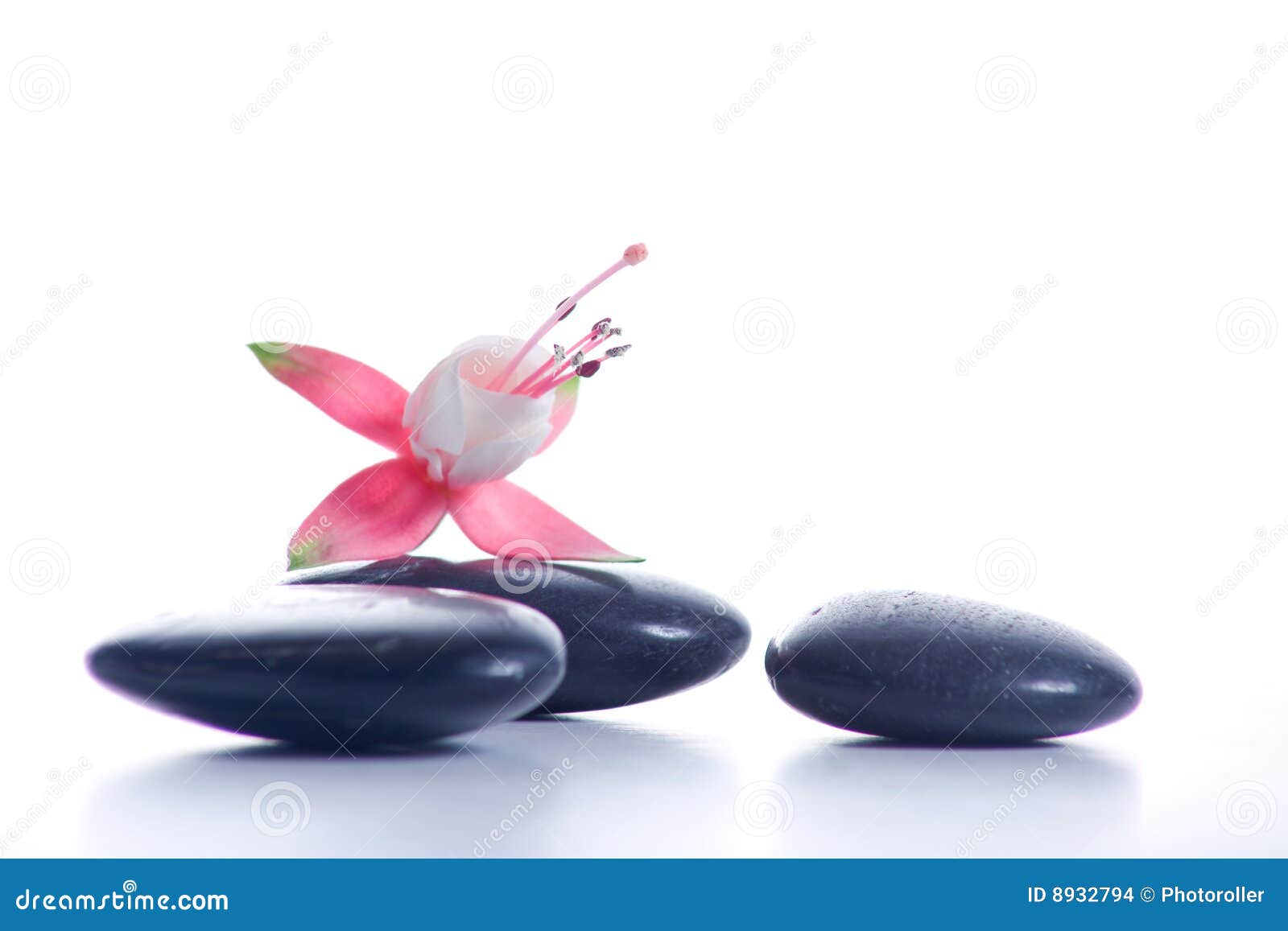 Zen Rose De Pierres De Fleurs Photo stock - Image du esprit, fond: 8932794