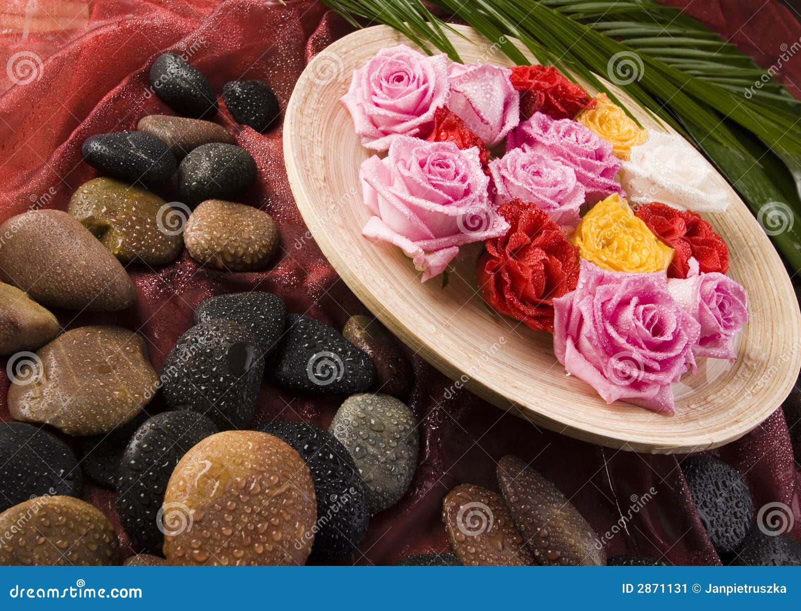 Zen roses stock image. Image of natural, body, colorful - 2871131