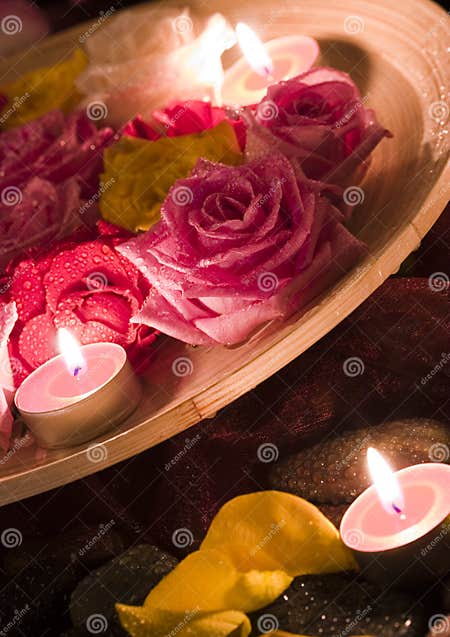 Zen roses stock photo. Image of beauty, colorful, emotion - 2871164