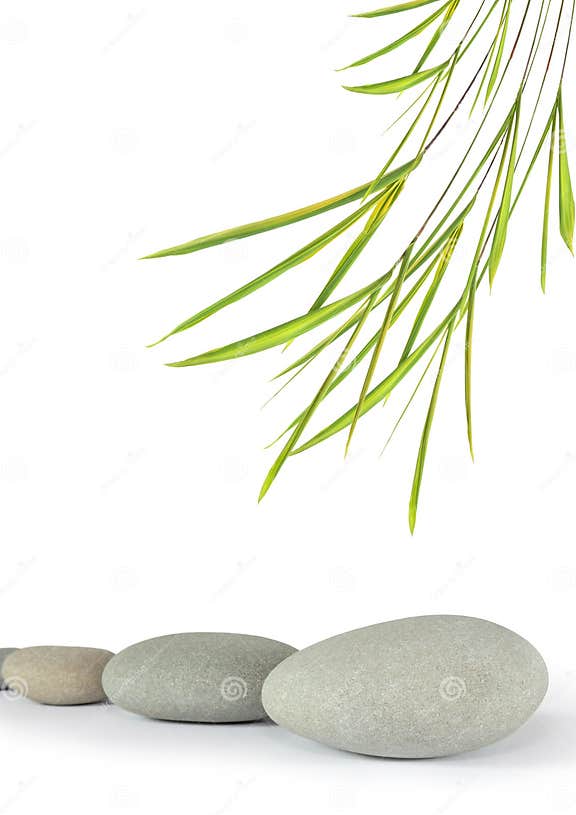Zen Simplicity stock photo. Image of oriental, leaves - 7958298